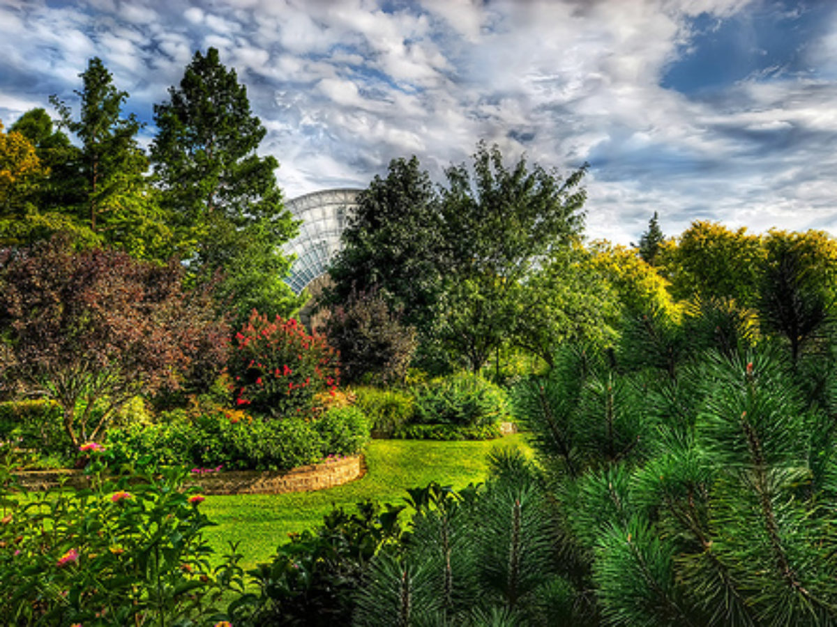 Myriad Botanical Gardens Oklahoma City Ok | Fasci Garden