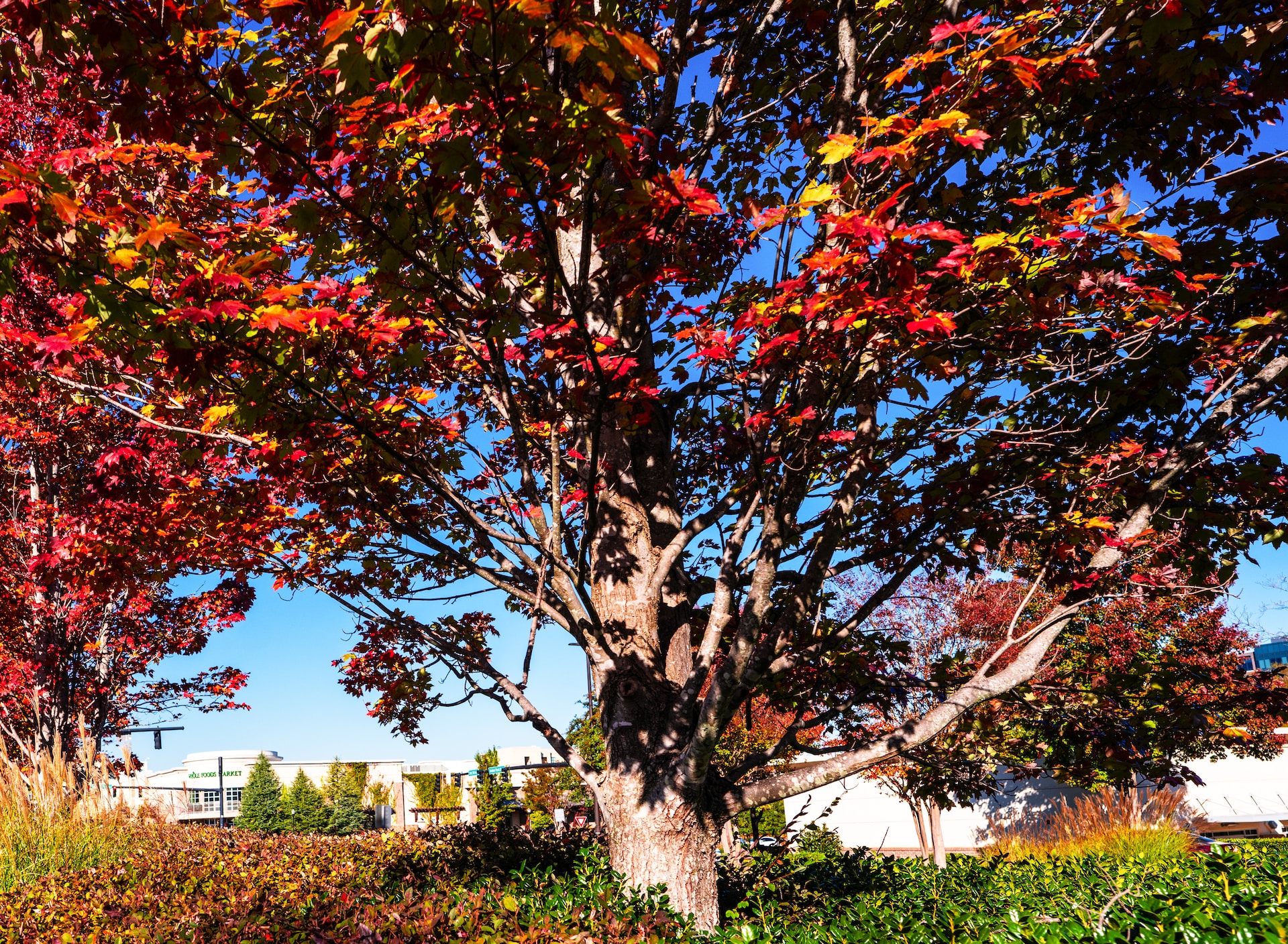 Explore These Important Historical Sites in Alpharetta, GA