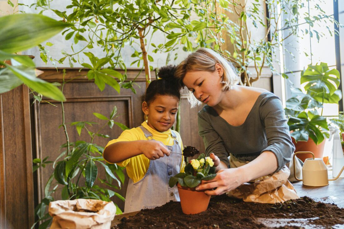 Interactive Gardening Activities for Kids in Romeoville, IL: Fun Ways ...